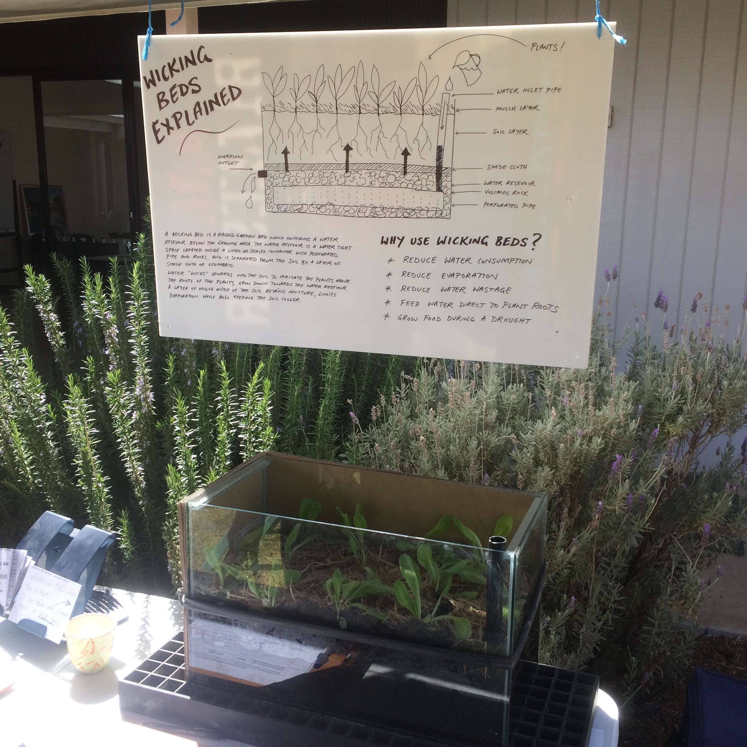 Reading & Resources – Community Weathering Station (Cows)